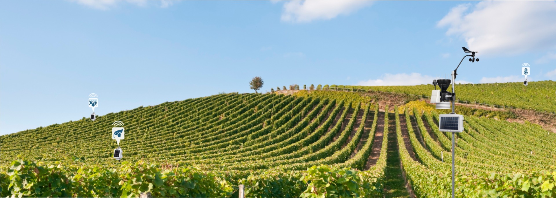 Professional Weather Station UK Specialist | Weather Shop UK